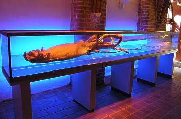 Quermania - Stralsund - Deutsches Meeresmuseum - Mecklenburg-Vorpommern ...